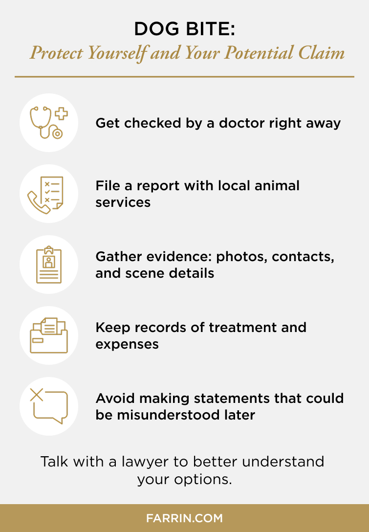 Dog Bite Laws in North Carolina: Greensboro Victims Guide